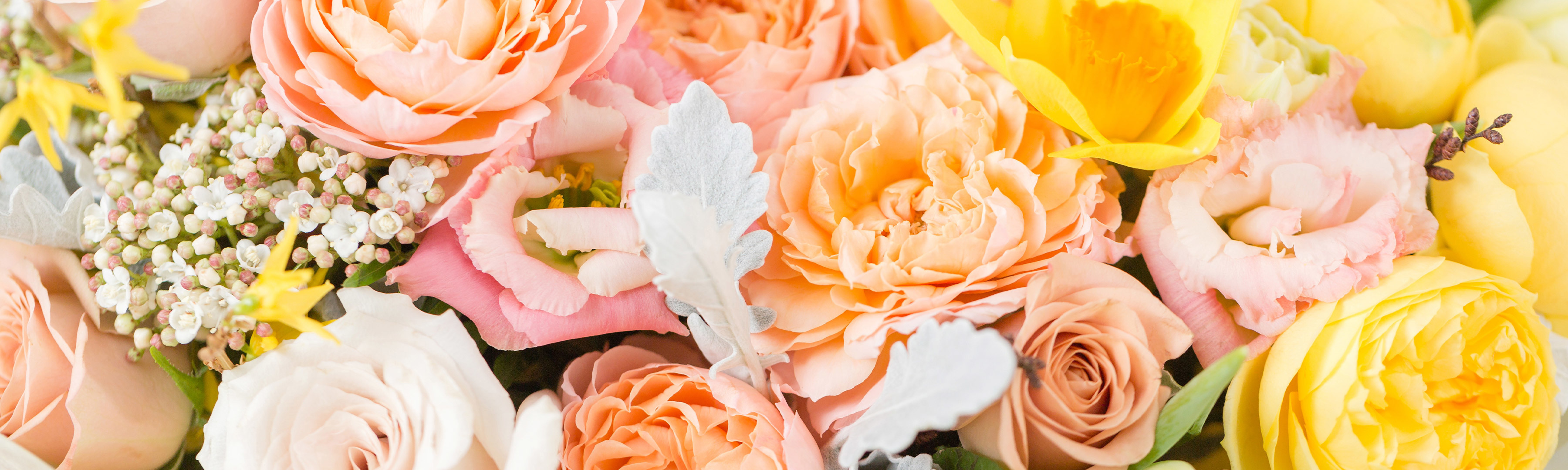 Kittelberger Florist Rochester & Webster NY | Same Day Flowers